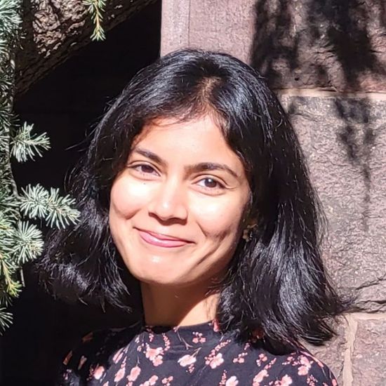 Davoudi Research Group | Institute for Robust Quantum Simulation (RQS)